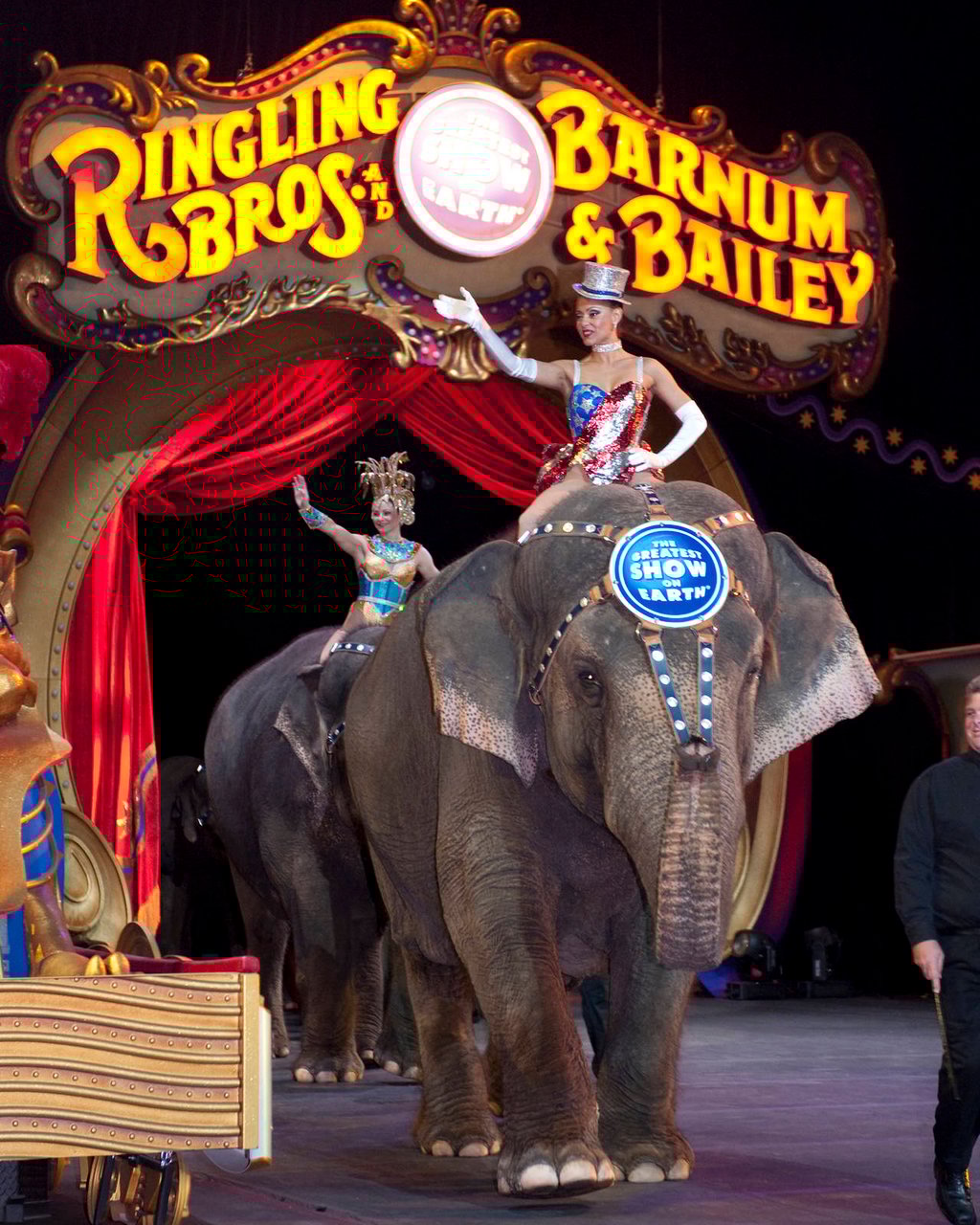 Ringling Bros Cierra Sus Puertas El Siglo De Torreón