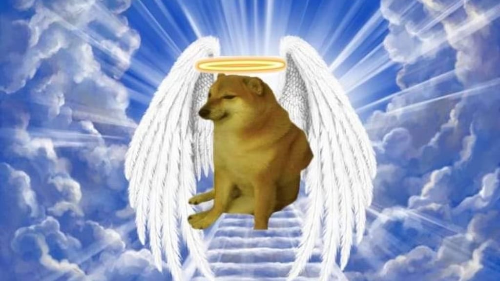 Fuiste El Mejor Despiden En Redes A Cheems El Querido Perrito De Los Memes El Siglo De