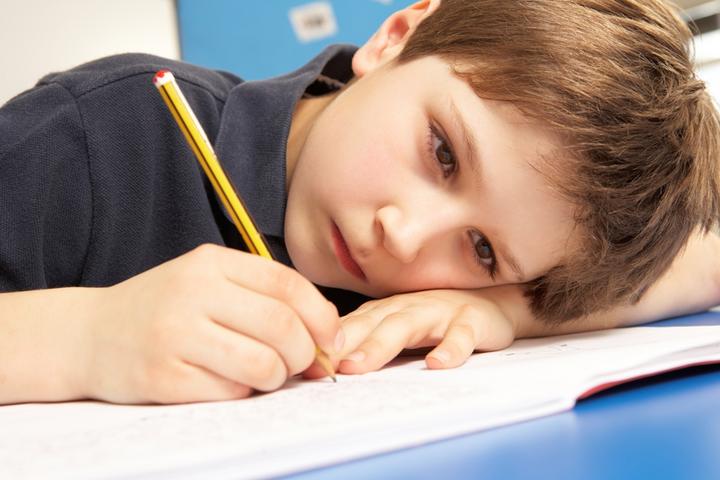 Disminuye parasitosis la capacidad de aprendizaje en niños Disminuye parasitosis la capacidad de aprendizaje en niños