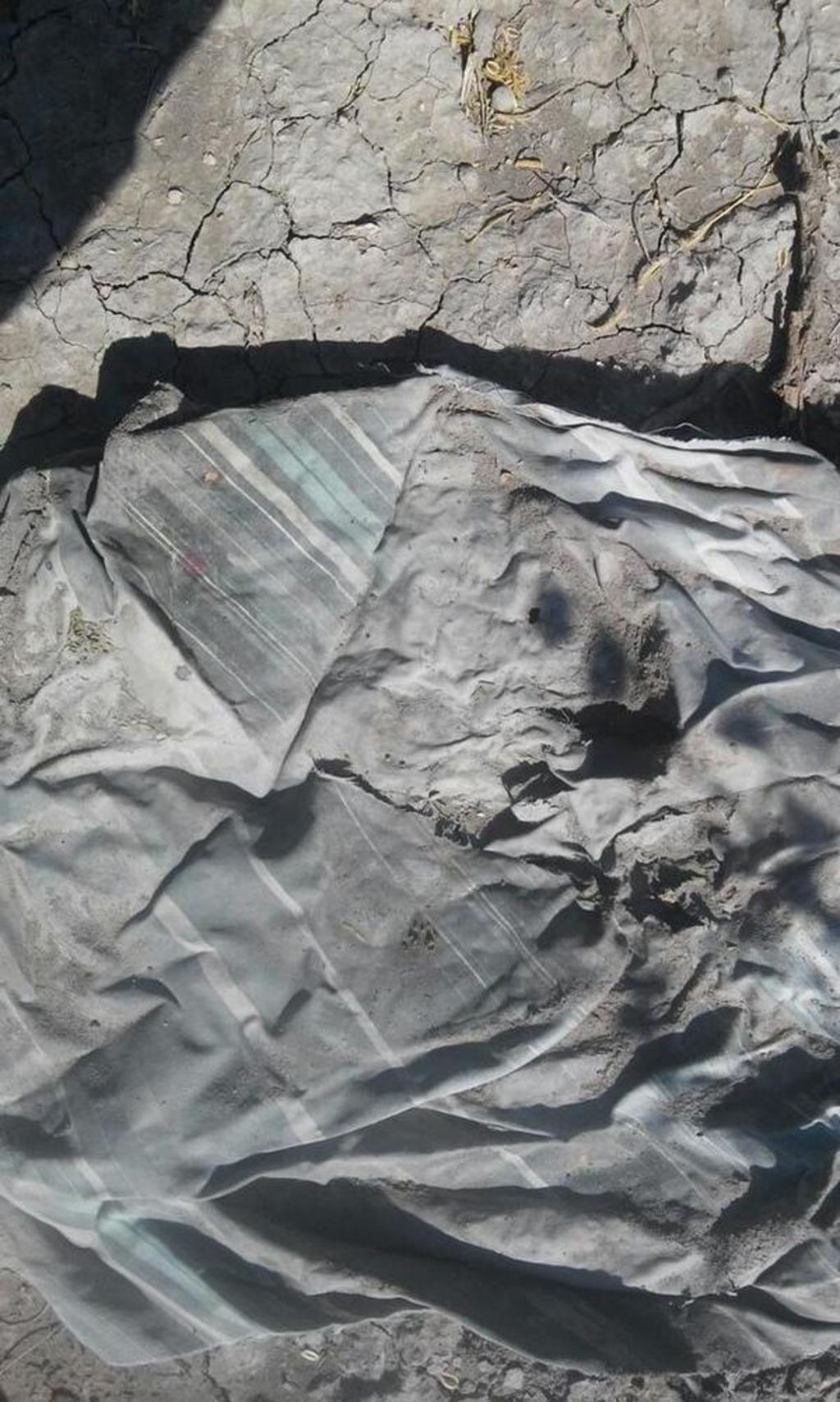 Halla Grupo Vida más bolsas con restos calcinados | El Siglo de Torreón Halla Grupo Vida más bolsas con restos calcinados | El Siglo de Torreón