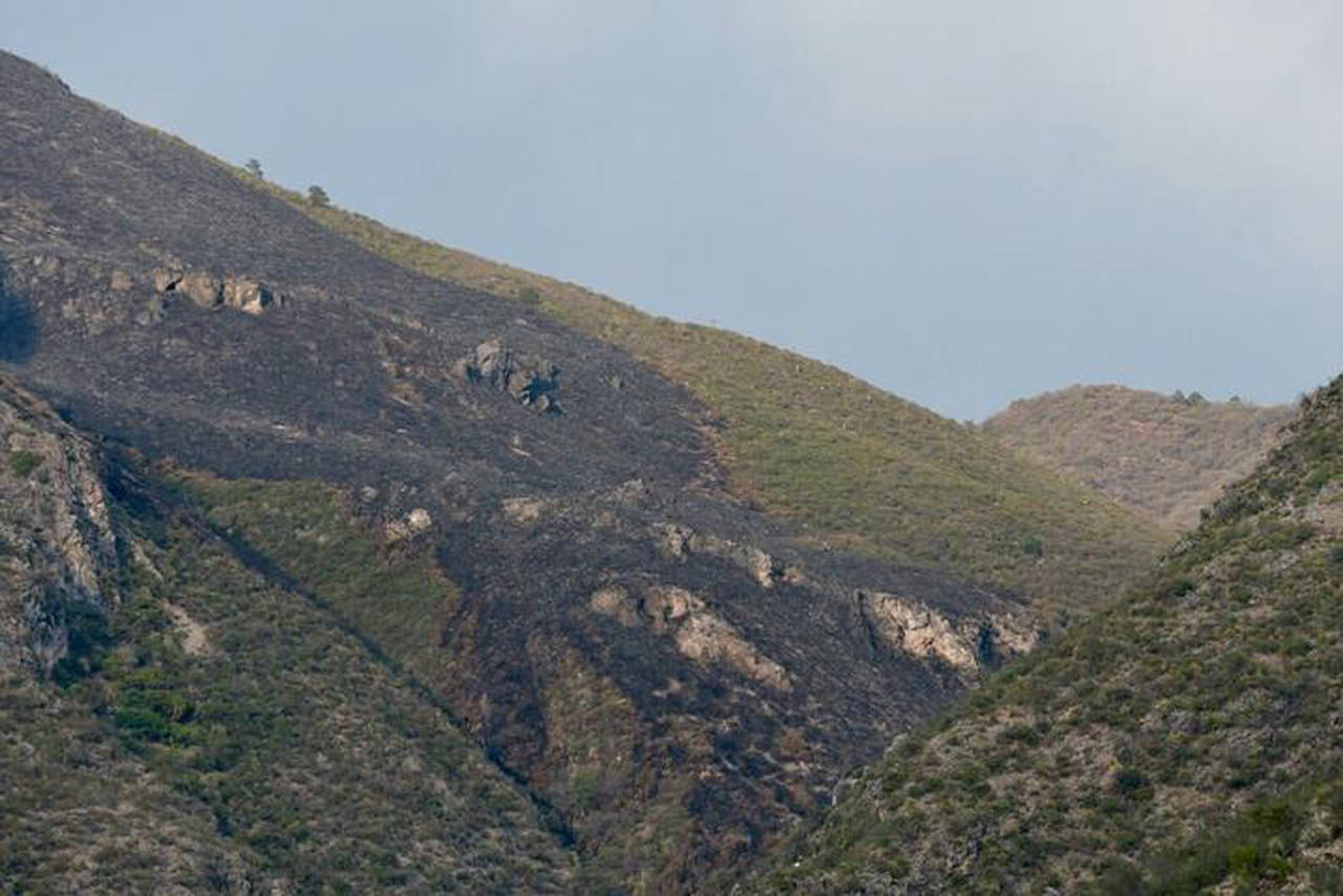 Presentará Profepa denuncia por incendio en Zapalinamé | El Siglo de ... Presentará Profepa denuncia por incendio en Zapalinamé | El Siglo de ...