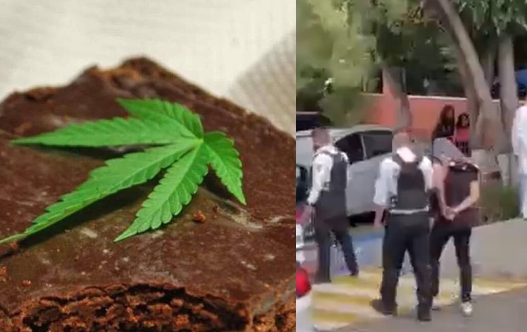 Detienen a joven por vender brownies con mariguana en universidad | El ... Detienen a joven por vender brownies con mariguana en universidad | El ...